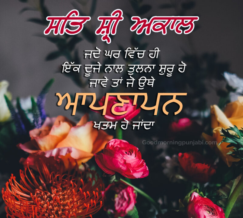70+ Beautiful Good Morning Inspirational Punjabi Quotes