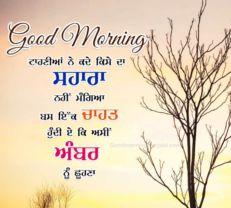 70+ Heart Touching Good Morning Shayari Photos in Punjabi